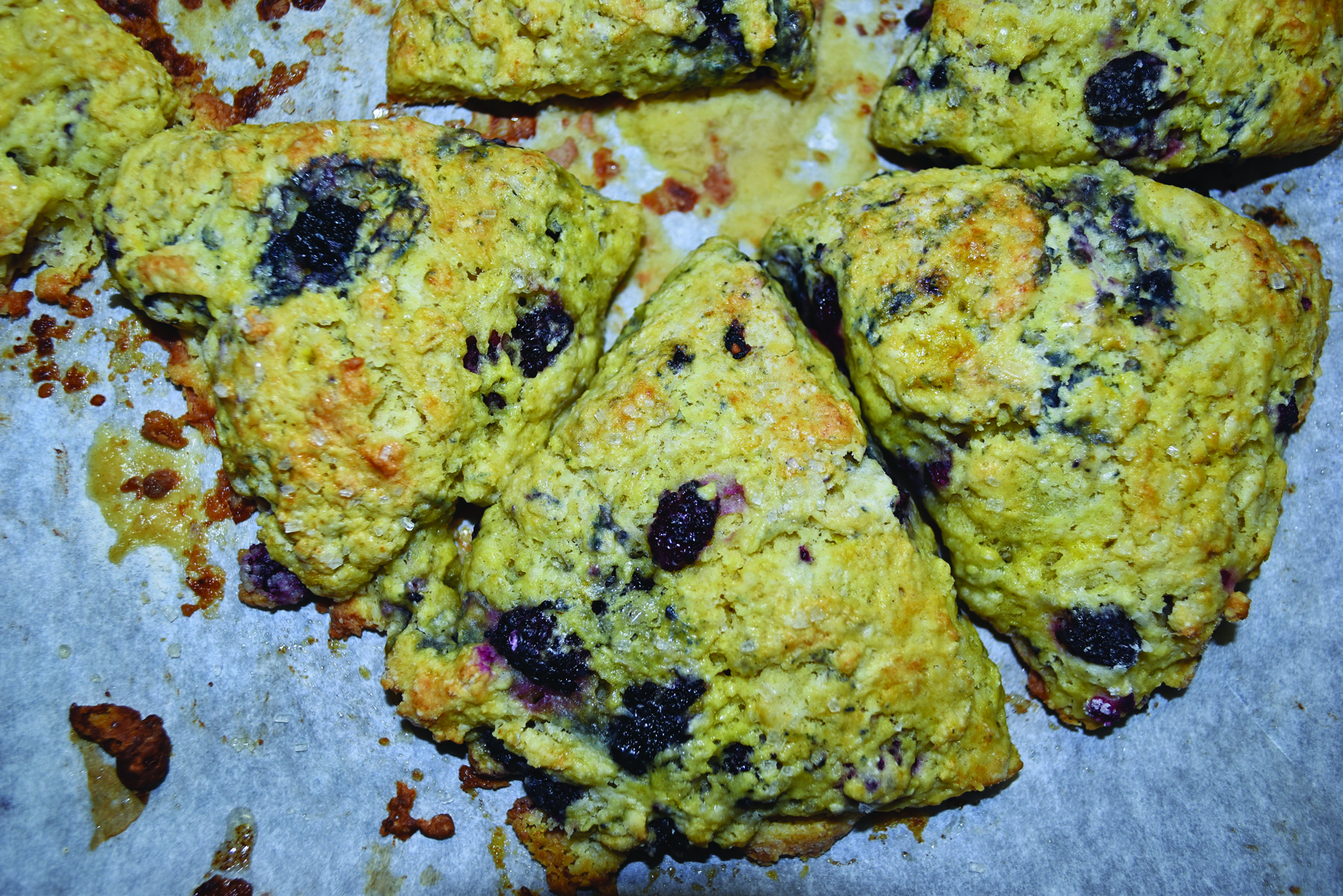 Mulberry Scones Recipe - Grit